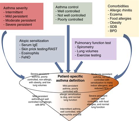 Asthma Classification Pdf