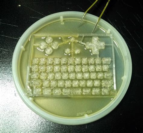 Qwertypi A Handheld Raspberry Pi Qwerty Computer Qwertypi A Handheld Raspberry Pi Qwerty Computer