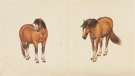 近马晋马24x274cmx24开 12张国画超高清大图原图扫描真迹全图书画图片下载