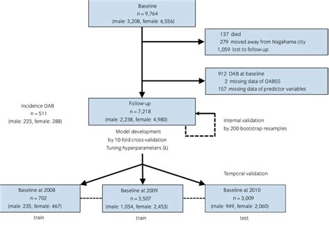 Flow Diagram Of Participation Download Scientific Diagram