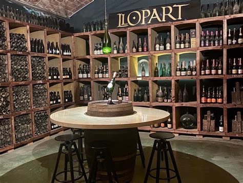 Lori Weiner Cabi Stylist Lori Weiner Cabi Stylist