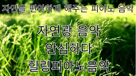 【100 자연의 편안한 피아노 음악】여유로운 시간 마음의 휴식 피아노 음악으로 몸과 마음을 힐링하세요 Youtube