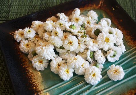 Micro White Mum™ Gourmet Sweet Botanicals