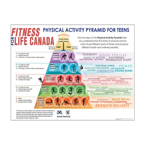 Fitness For Life Canada Physical Activity Pyramid For Teen Poster