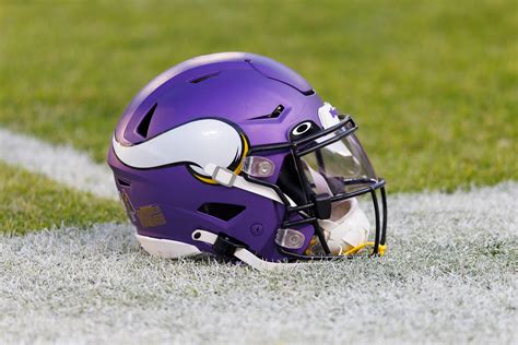 Minnesota Vikings Usa Today Sports