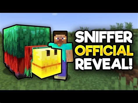 What Is The Sniffer In Minecraft Everything You Need To Know