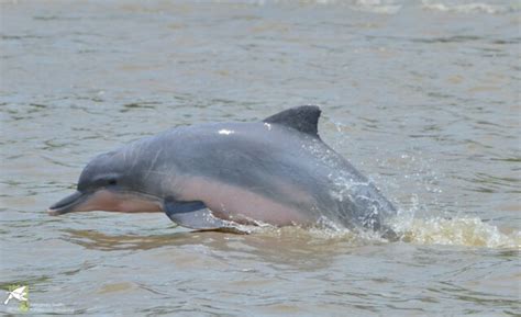 Atención Colombia Será Epicentro De Un Movimiento Global Que Busca La