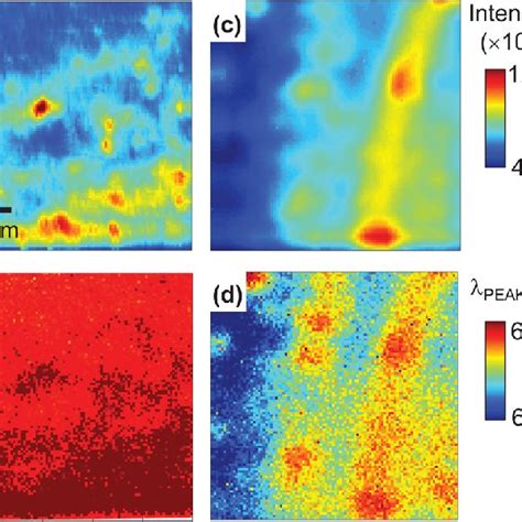 Color Online A Spatially Resolved Pl Intensity And B K Peak For