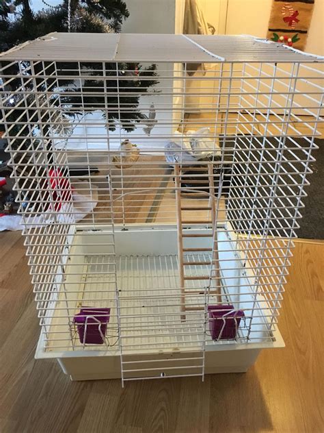 Best Rat Bird Cage For Sale In Côte Saint Luc Quebec For 2025
