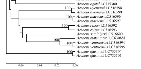 An Unrooted Tree Obtained By The Upgma Method Scores At Each Node Are Download Scientific
