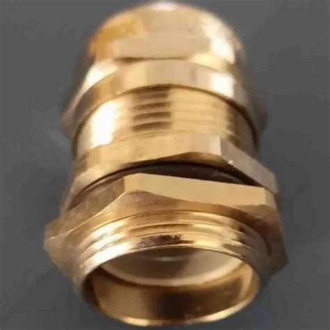 M32 Brass Hex Cable Gland Ip40 At ₹ 250piece In Faridabad Id