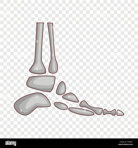 Cartoon Skeleton Foot