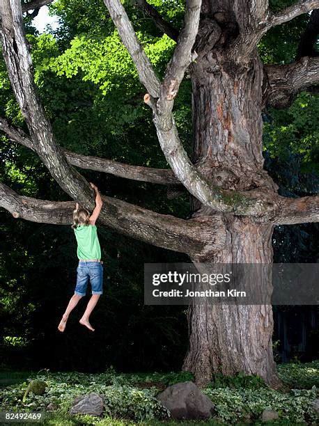 The Danger Tree Photos And Premium High Res Pictures Getty Images