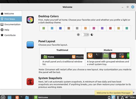 linux mint 20 3 cinnamon安装 linux mint 安装在u盘 csdn博客