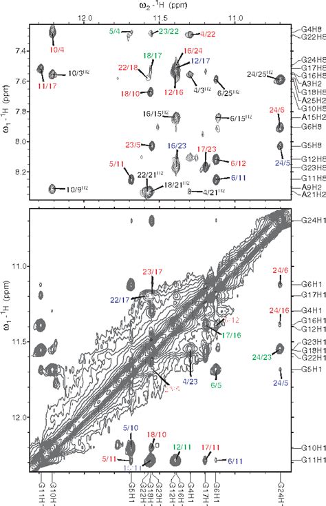 Figure 6 From Human Telomeric Sequence Forms A Hybrid Type Intramolecular G Quadruplex Structure