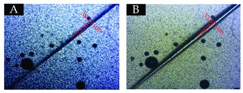 scratch width of the coating without microcapsules a scratch image download scientific