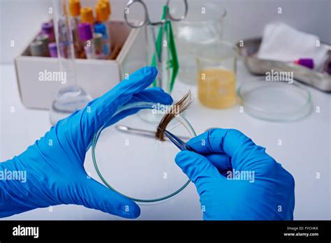 What Is Biological Specimen At Luis Becker Blog