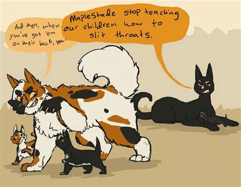 270 Warrior Cats Ideas Warrior Cats Warrior Warrior Cats Books