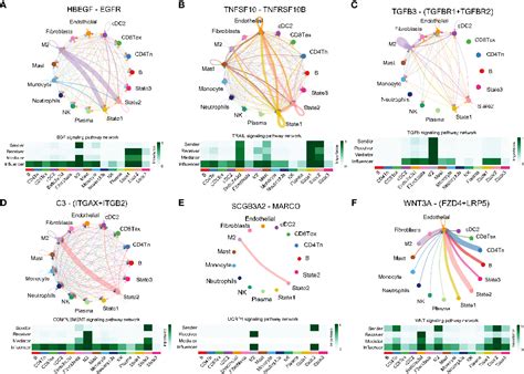 Figure 1 From Single Cell And Bulk Rna Seq Reveal Angiogenic
