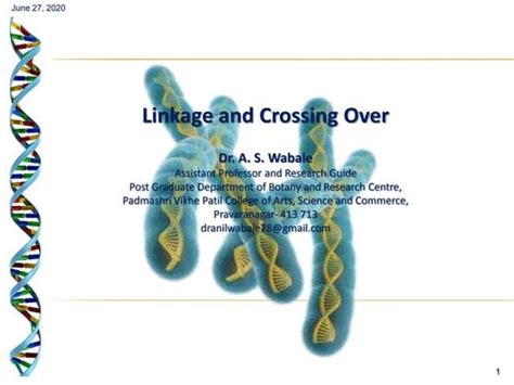 Euploidy And Aneuploidy Pdf