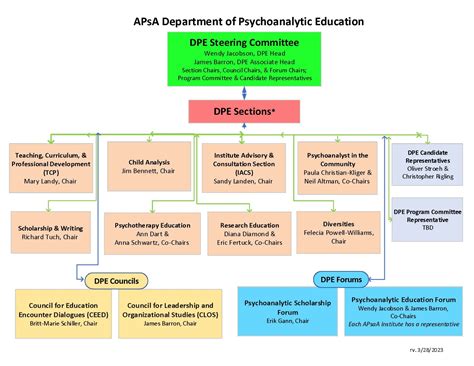 Department Of Psychoanalytic Education Dpe American Psychoanalytic