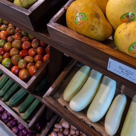 Retail Outlets | Good Market Info