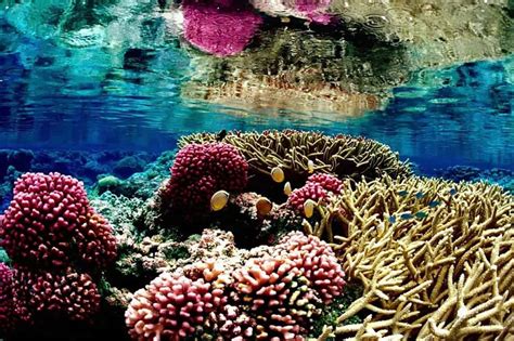Ocean Landscape Photography 6 Essential Tips And Tricks