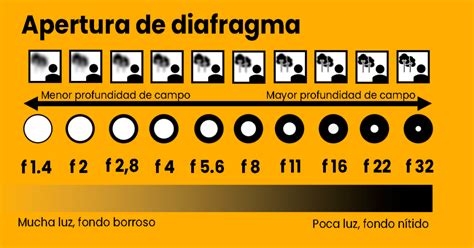 La Apertura De Diafragma En Fotografía Objetivos Fotografia Fondo