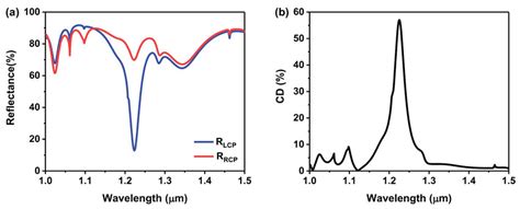 Simulated Reflectance For The Lcp And Rcp Light Incidence