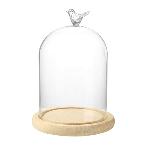 Xuflvpsef Wooden Base Glass Cloche Dome Display Rustic Bell Jar