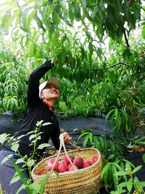 美桃大山谷图库