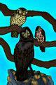 Categorypleistocene Aves Wikimedia Commons