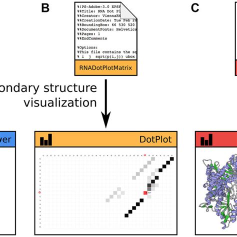 Rna Structure Visualization The Figure Shows Visualization For An Ire1