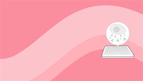 B Cell Profiling With Elispot And Fluorospot Mabtech