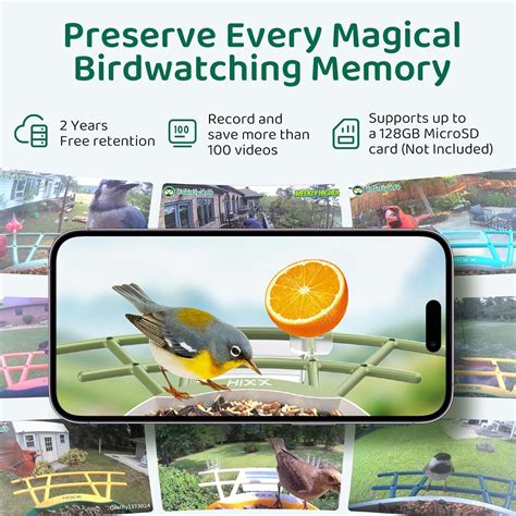 Hixx Smart Ai Bird Feeder With 2k Hd Camera Birds Of Our Lives