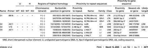 Differentially Methylated Loci In Dnmt L KO Germ Cells Download Table