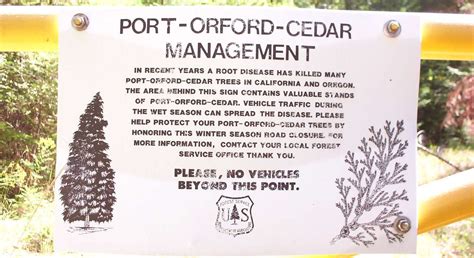 Port Orford Cedar Root Disease Forest Pathology