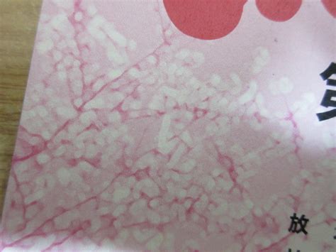 2b2 1 森田一義アワー 笑っていいとも 第8052回 木曜日最終回 台本 2014年3月27日放送分 テレビ 台本 いいとも タモリ中古のオークション落札情報