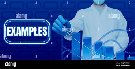 Conceptual Display Examples Word Written On Photo Sample Model To Follow Guide Explanation For