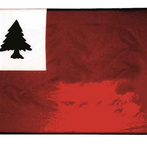 Continental Eagle Flag