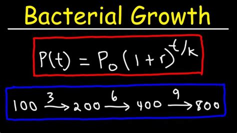 Bacteria Math Solve Growth Problems