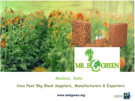 Ppt Coco Peat 5kg Blocks Suppliers Powerpoint Presentation Free