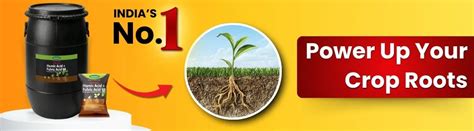 Katyayani Activated Humic Acid Fulvic Acid 98 Fertilizer Drum