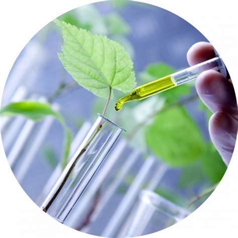 Bermectine Insecticide Selective Probelte Acaricide