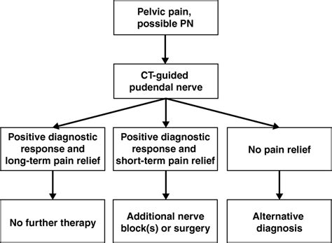 Pudendal Nerve