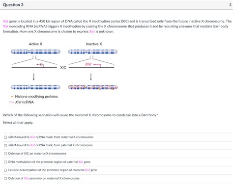 Solved Question 3 3 Xist Gene Is Located In A 450 Kb Region