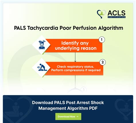 Pals Algorithms Aclsnow