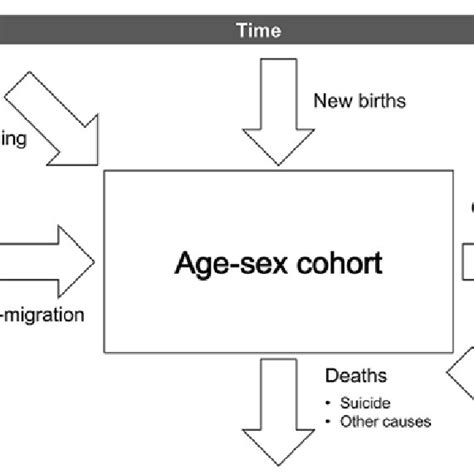 Overview Of The Demographic Projection Model Download Scientific Diagram