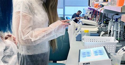 Maryville High Schools Grace Pepperman Wins National Essay Contest News