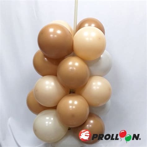 Earth Tone Balloon Latex Balloon Tailloon Manufacturer
